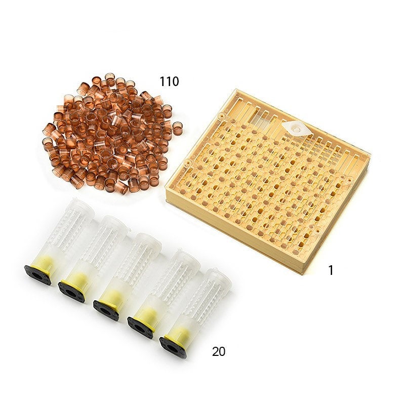 Queen Bee Rearing Kit | Bee and Comb