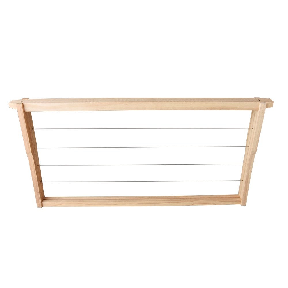 20 Deep Wired Frames | Bee and Comb